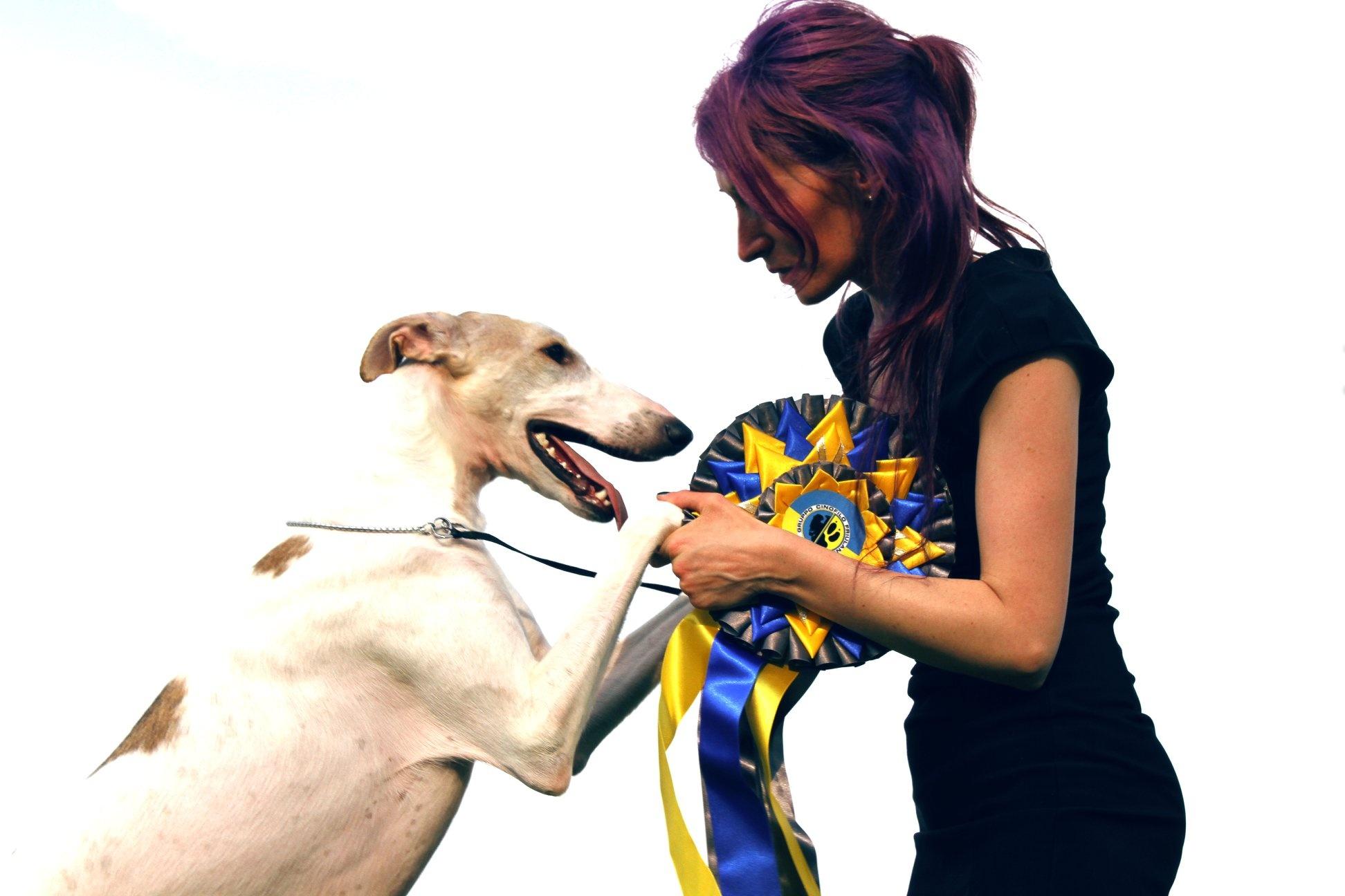 Esposizione Internazionale Udine 2019